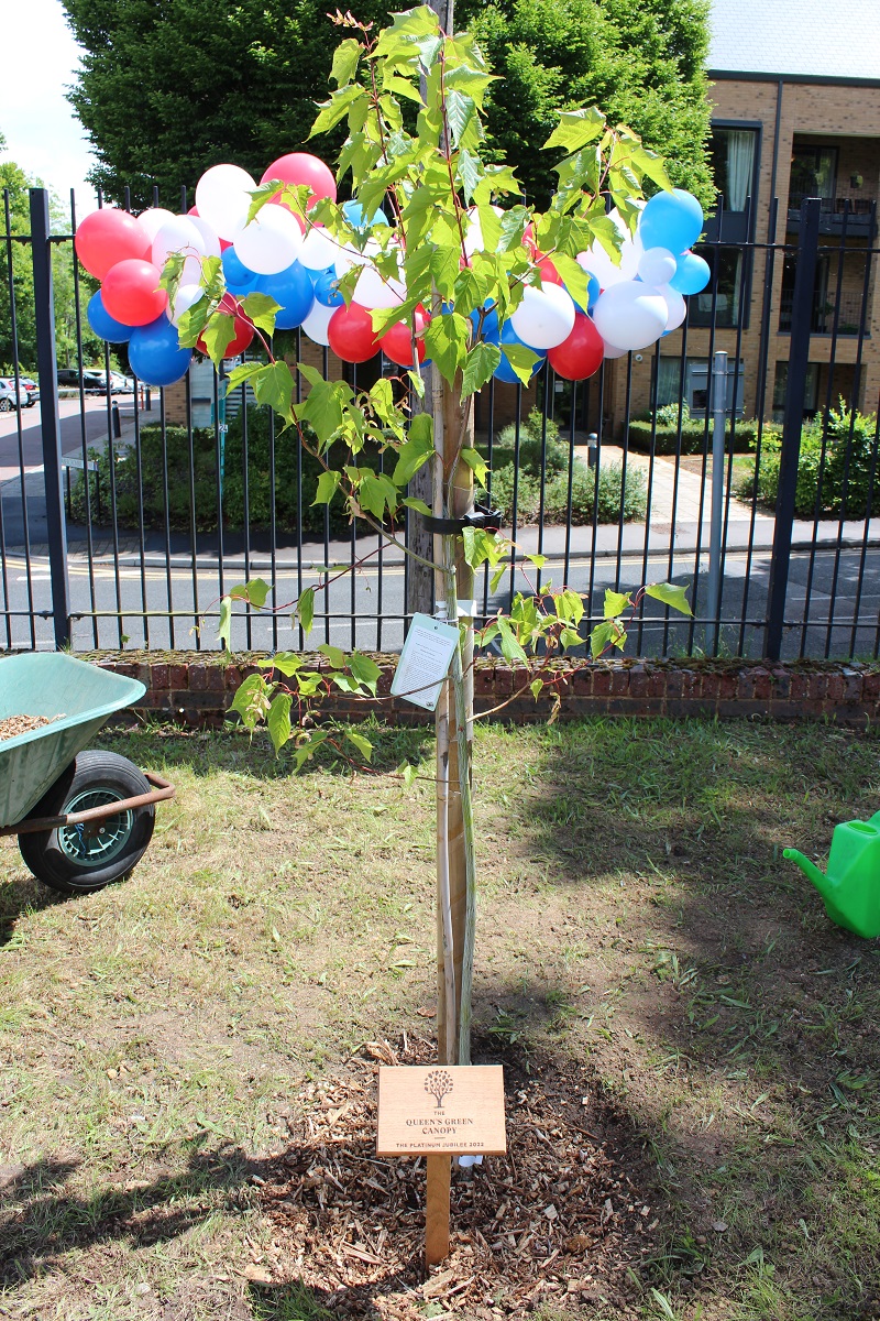 Bracknell and Wokingham College plants commemorative tree to honour the ...
